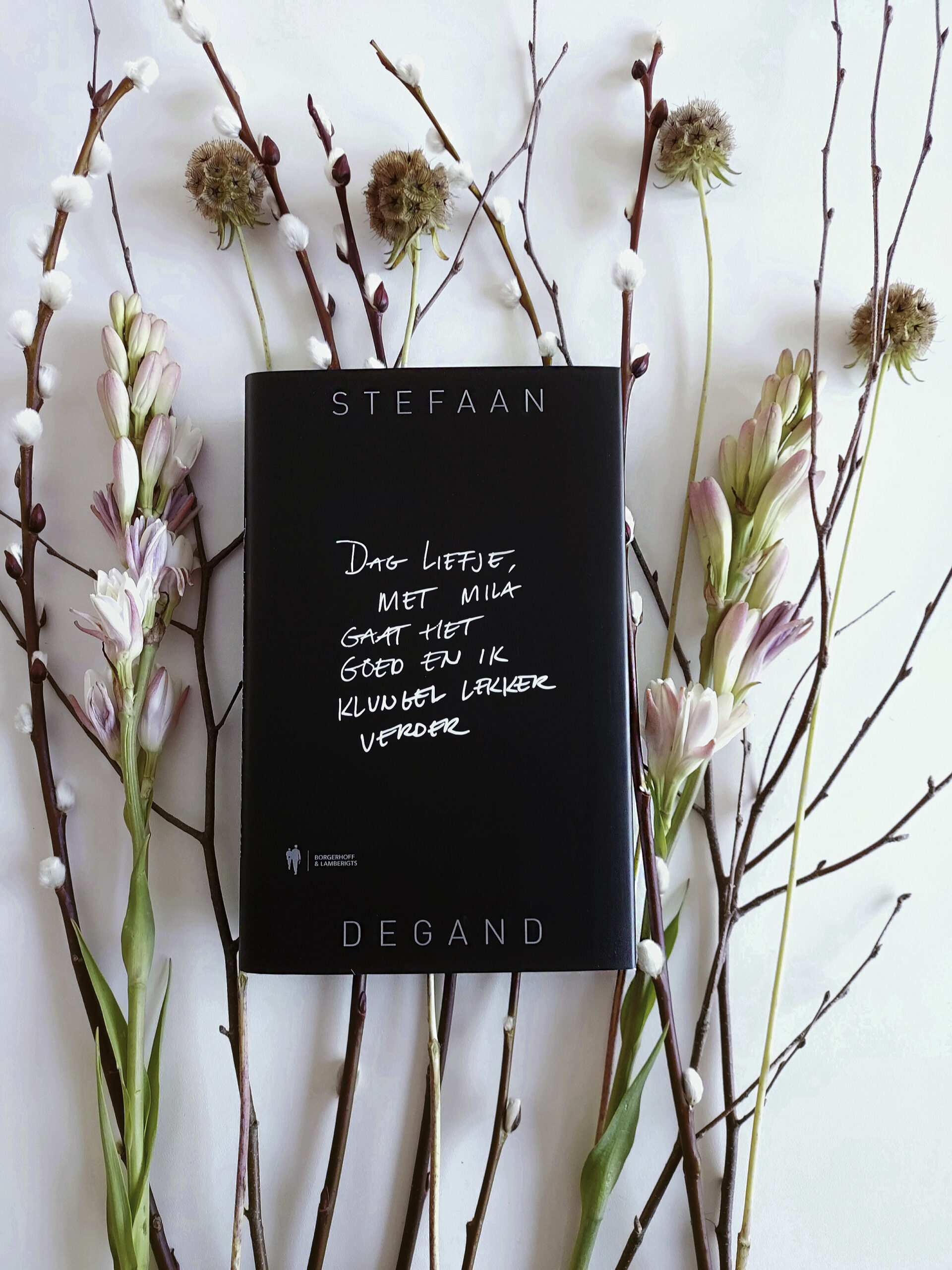 Boekreview: Dag liefje met Mila gaat het goed en ik klungel lekker verder – Stefaan Degand ...
