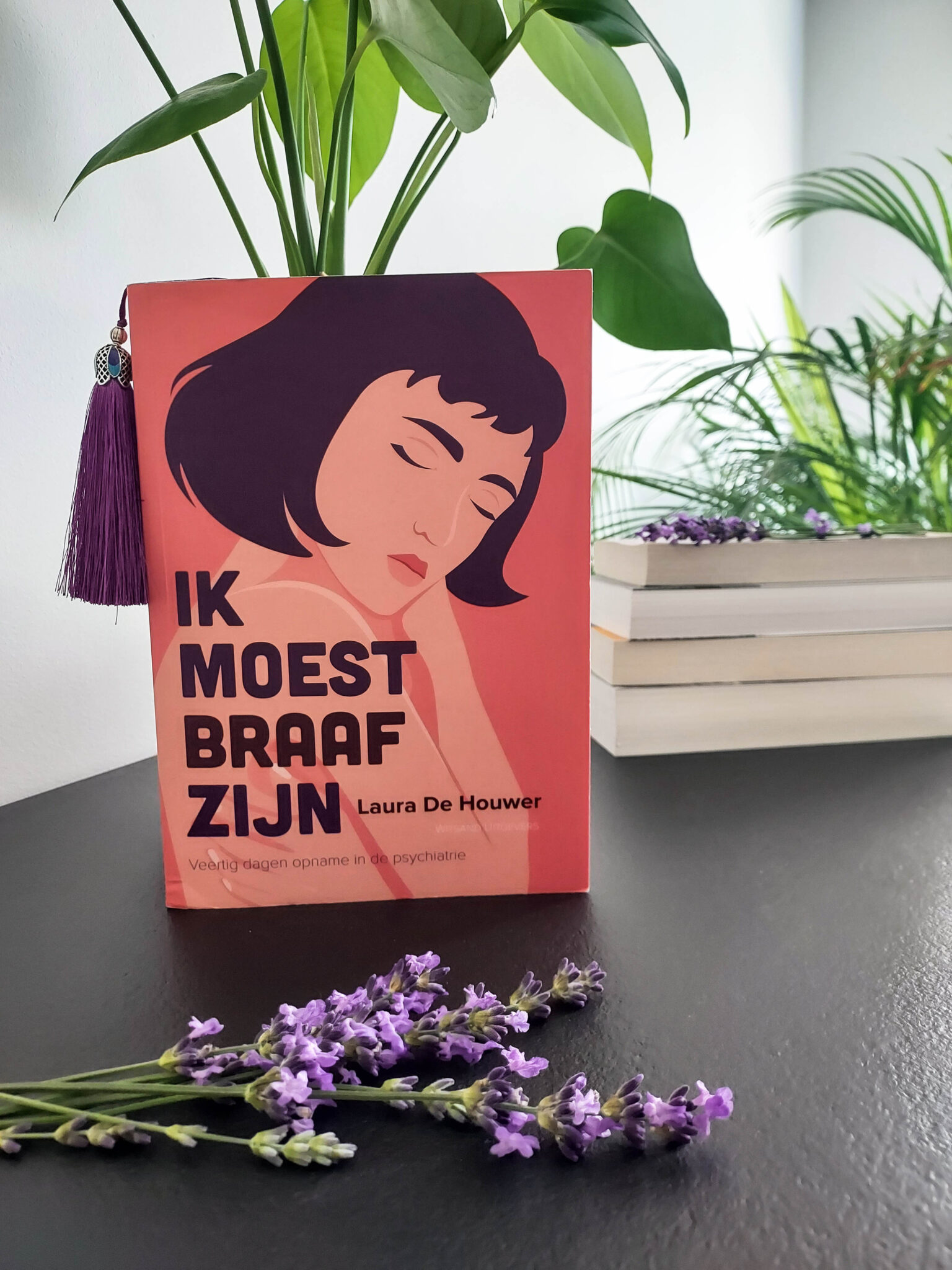 Boekreview: Ik moest braaf zijn - Laura De Houwer | Review | Cozy Reading