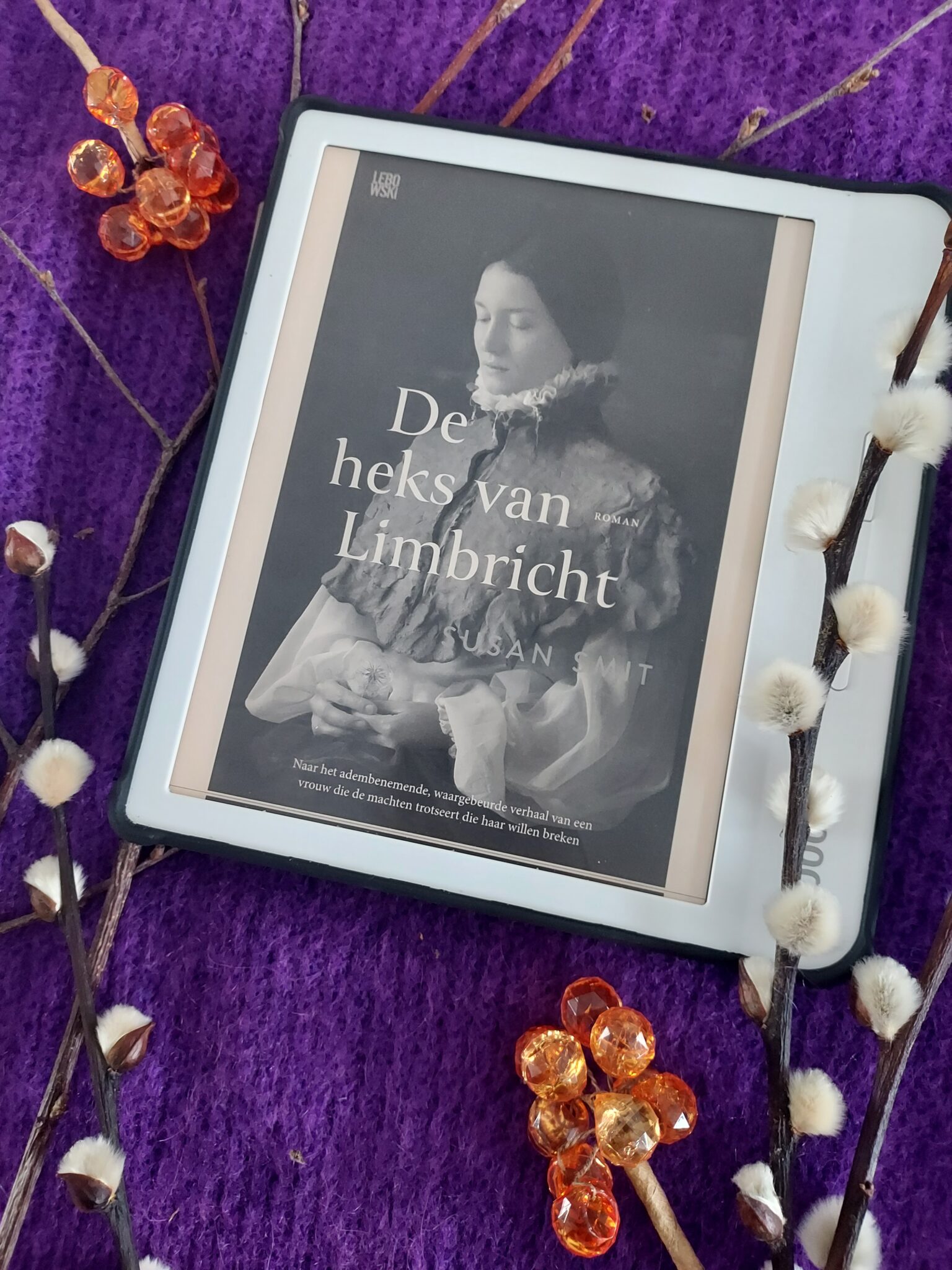 Boekreview: De heks van Limbricht - Susan Smit | Review | Cozy Reading