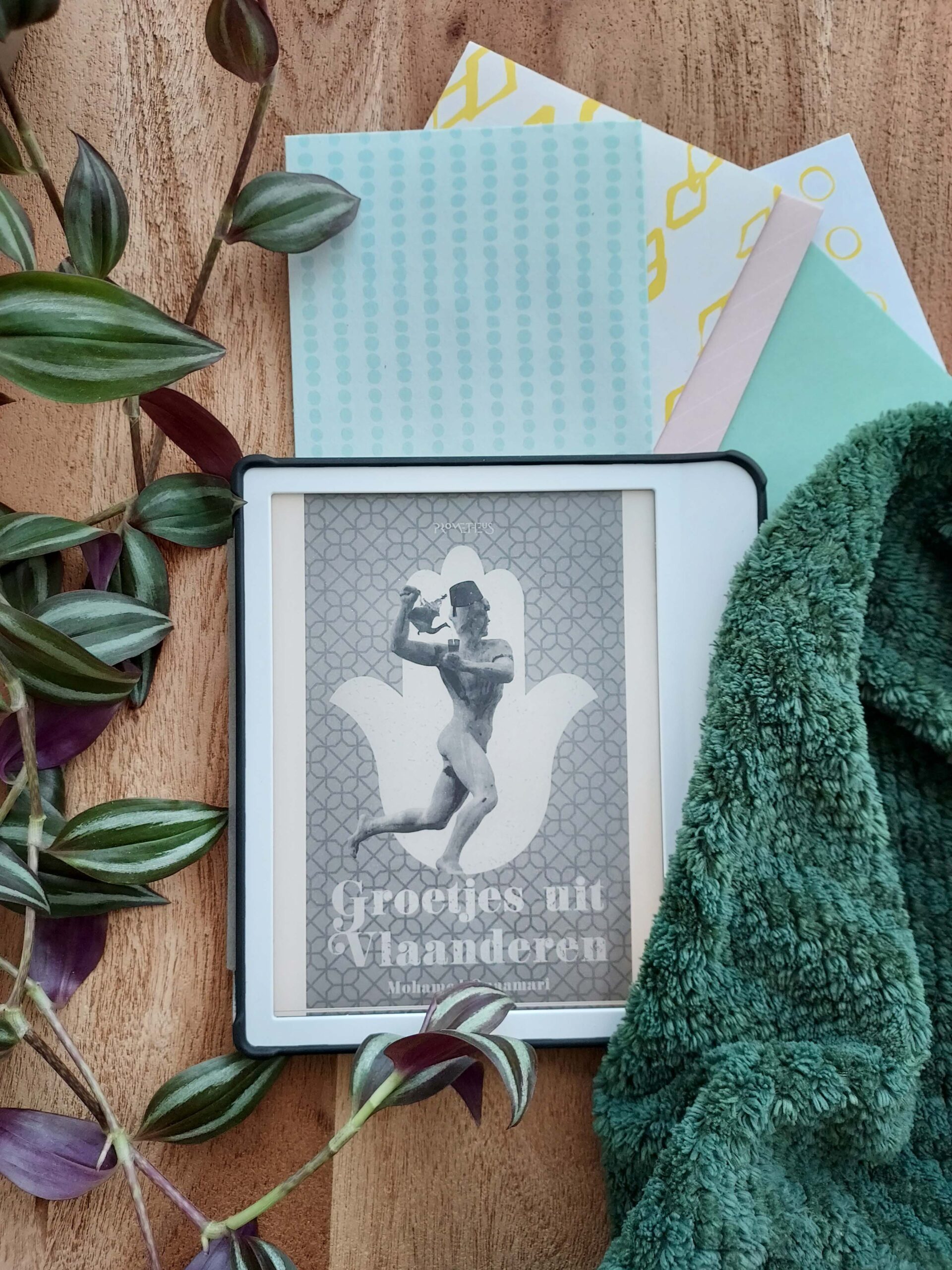 Groetjes uit Vlaanderen – Mohamed Ouaamari - Cozy Reading